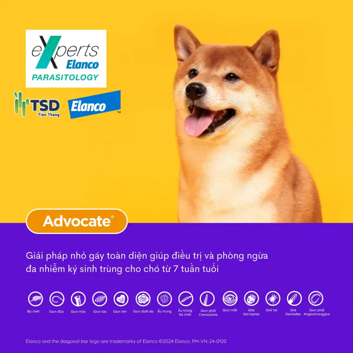 Advocate Cho Chó 10-25kg (2.5ml) – Trị Nội Ngoại Ký Sinh
